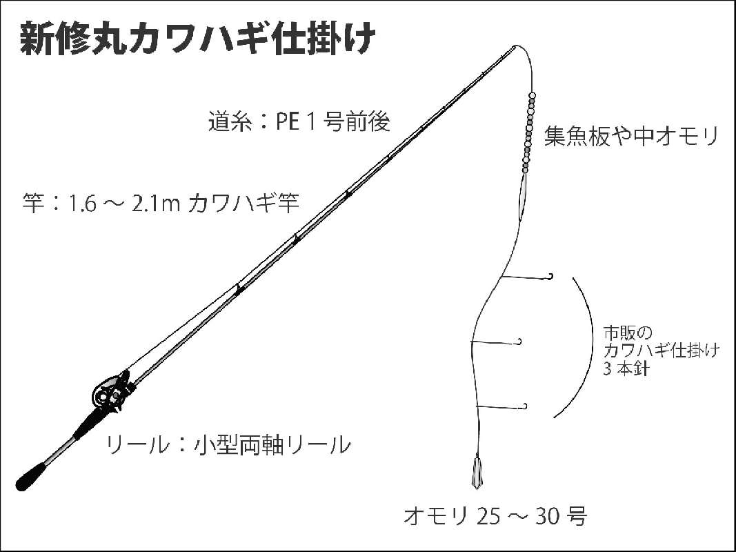 千葉県・竹岡沖に“肝パン”のカワハギ大集合！良型交じりで好調！ 神奈川県・金沢八景『新修丸』 | 釣りビジョン マガジン | 釣りビジョン
